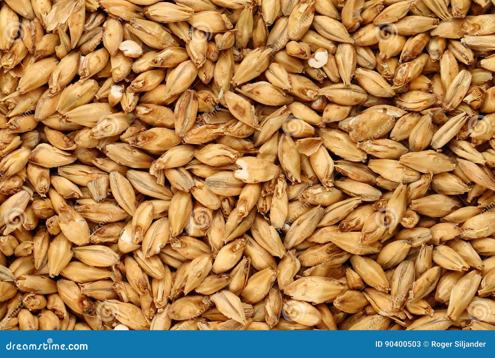 Cebada malteada imagen de archivo. Imagen de primer, crepes - 90400503