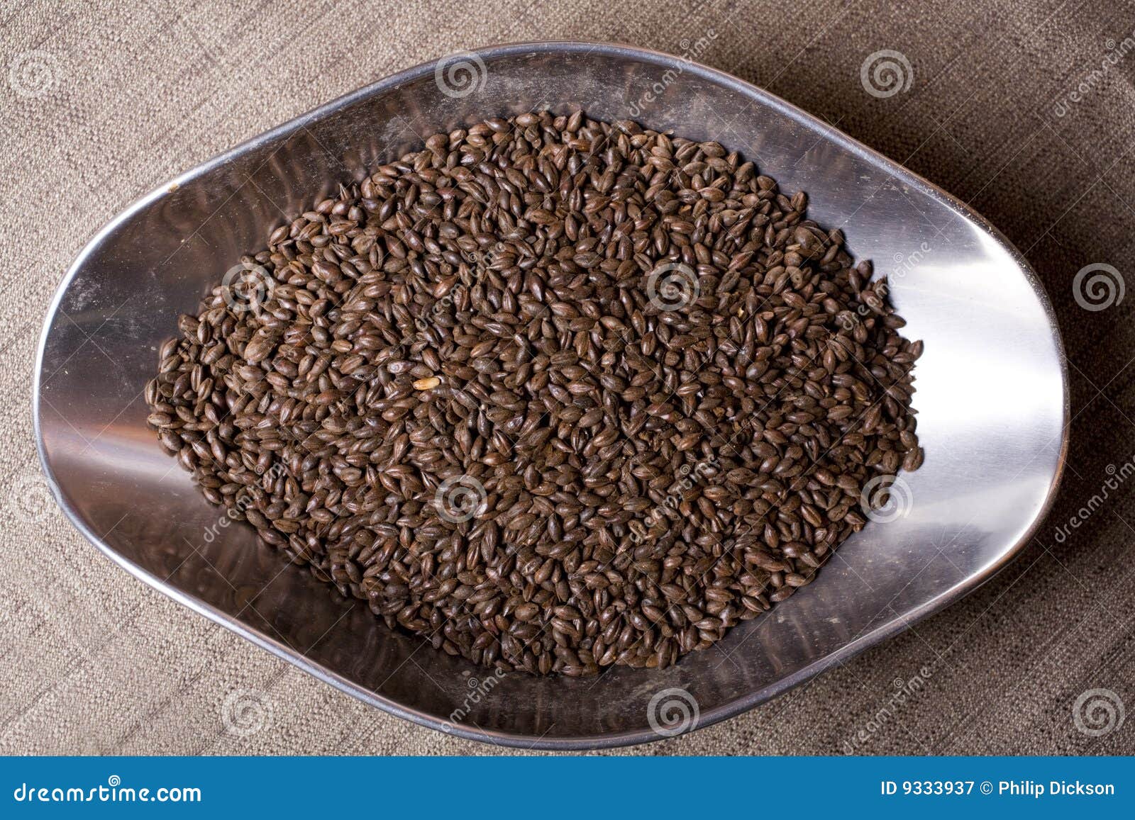 Cebada Malteada Del Chocolate Imagen de archivo - Imagen de envase ...