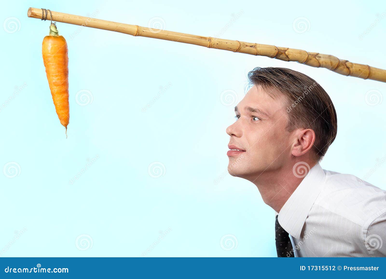 Cebo foto de archivo. Imagen de protuberancia, aislado - 17315512