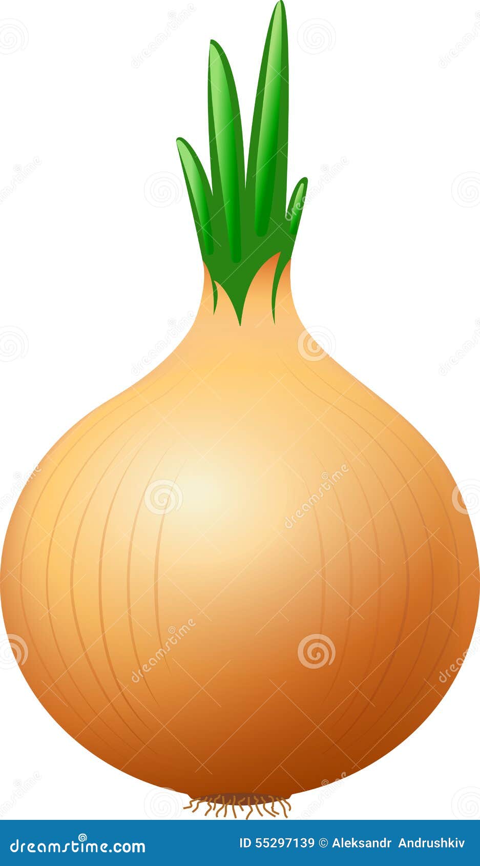 Cebola Ilustrações, Vetores E Clipart De Stock – (32,421 Stock ...