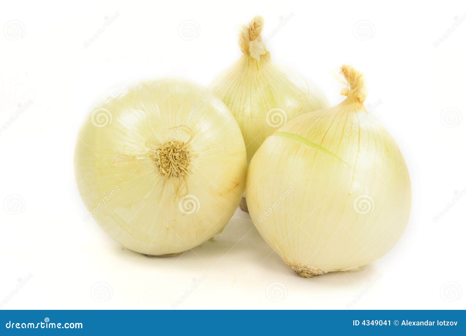 Cebola branca. imagem de stock. Imagem de botânica, fazenda - 4349041