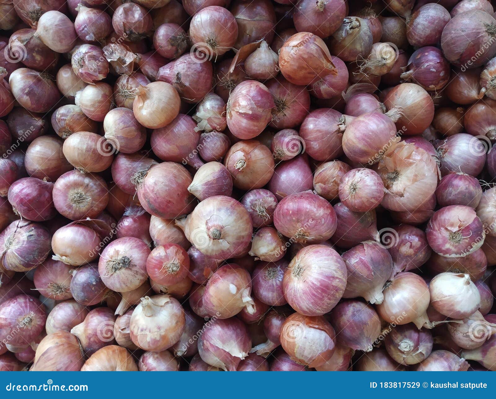 Cebola De Cor Vermelha Indiana Imagem de Stock - Imagem de cebolas ...