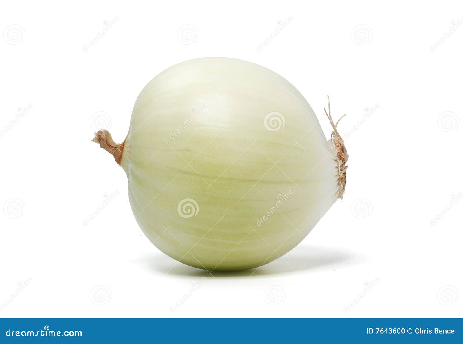 Cebola descascada foto de stock. Imagem de cebola, macro - 7643600