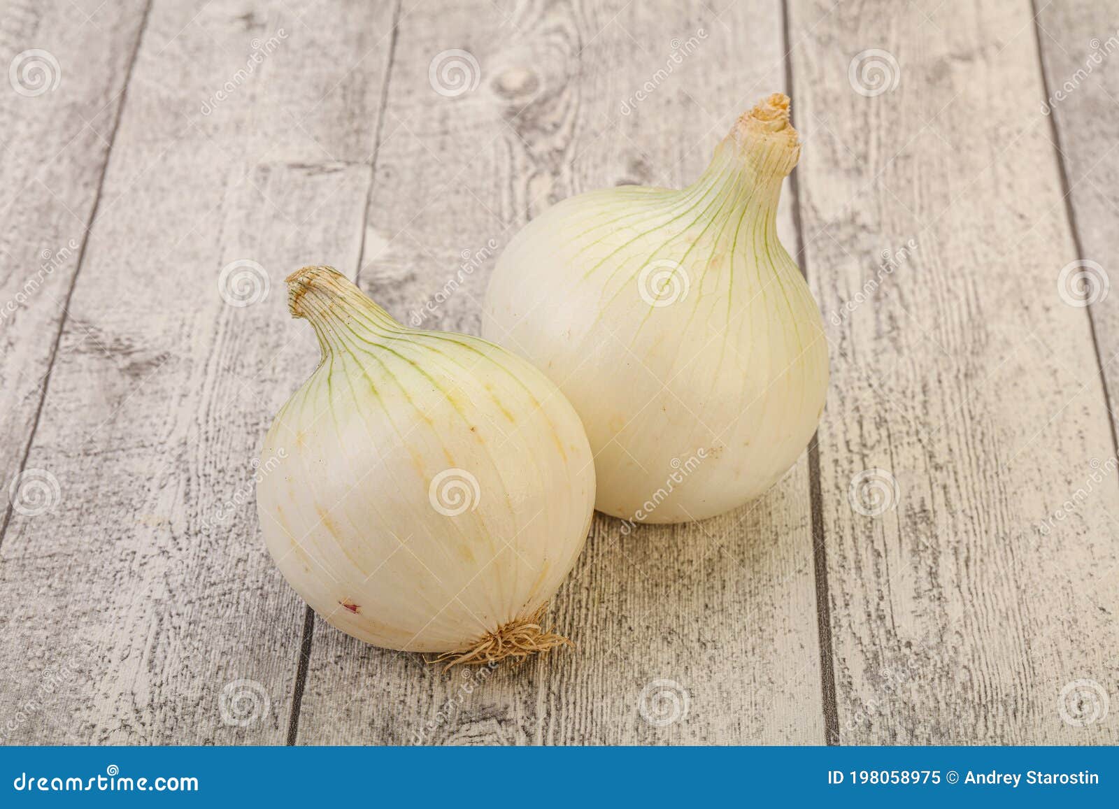 Cebola-doce-branca imagem de stock. Imagem de ingrediente - 198058975