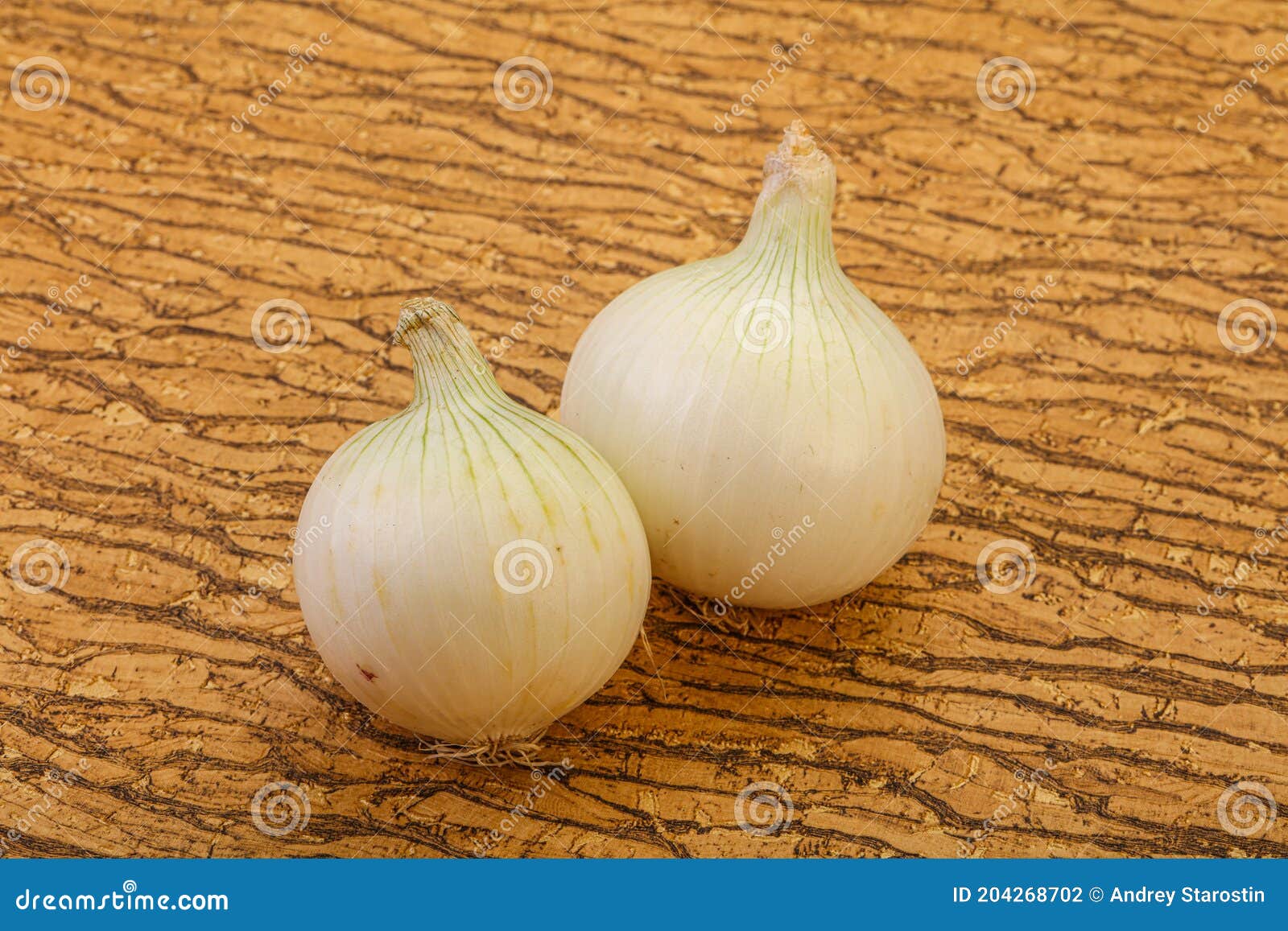 Cebola-doce-branca foto de stock. Imagem de fresco, isolado - 204268702