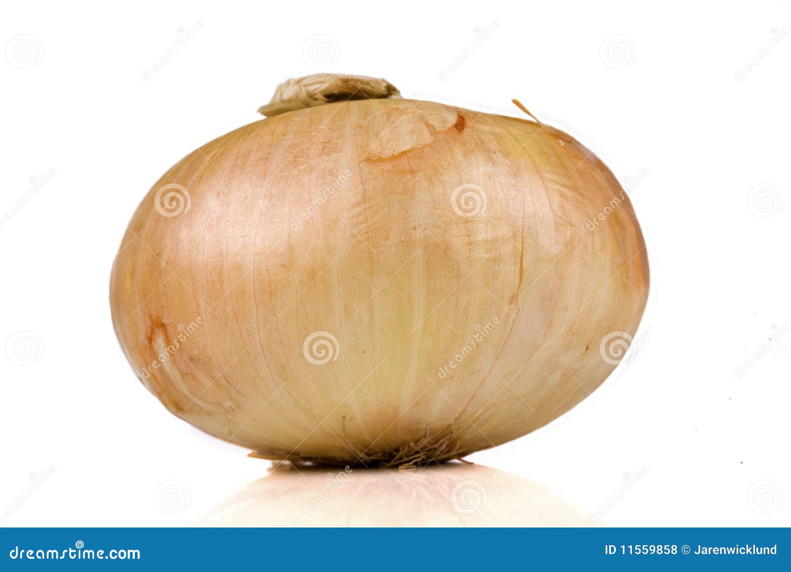 Cebola Doce De Vidalia Isolada Foto de Stock - Imagem de vegetal ...