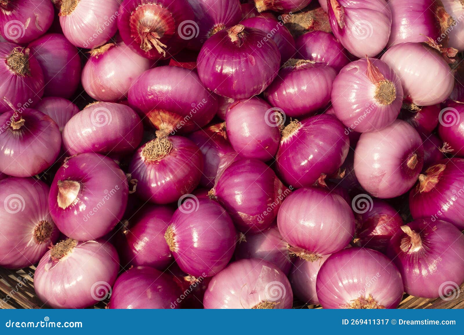 Cebola Roxa Vegetal Para Fundo Natural. Imagem de Stock - Imagem de ...