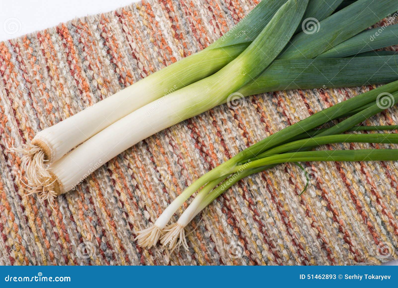 Cebola verde e alho-porro imagem de stock. Imagem de dieta - 51462893