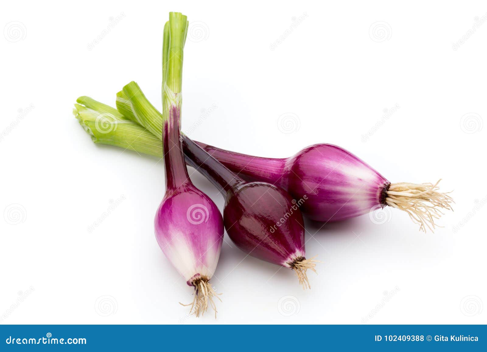Cebola Verde Isolada No Fundo Branco Foto de Stock - Imagem de grupo ...