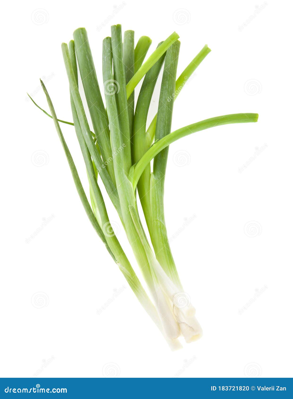 Cebola Verde Isolada Sobre Fundo Branco Foto de Stock - Imagem de corte ...