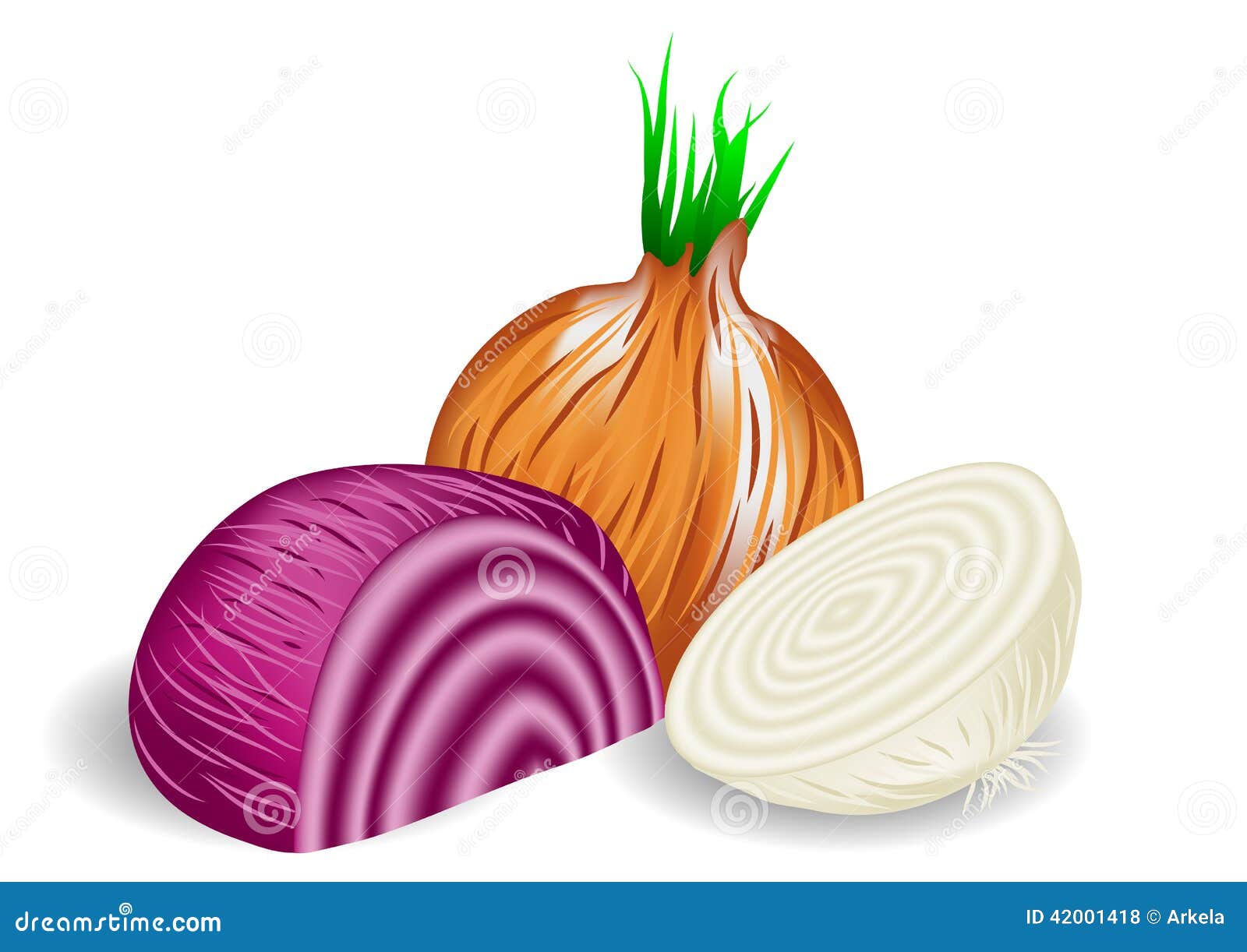 Cebolas ilustração do vetor. Ilustração de fresco, vitamina - 42001418