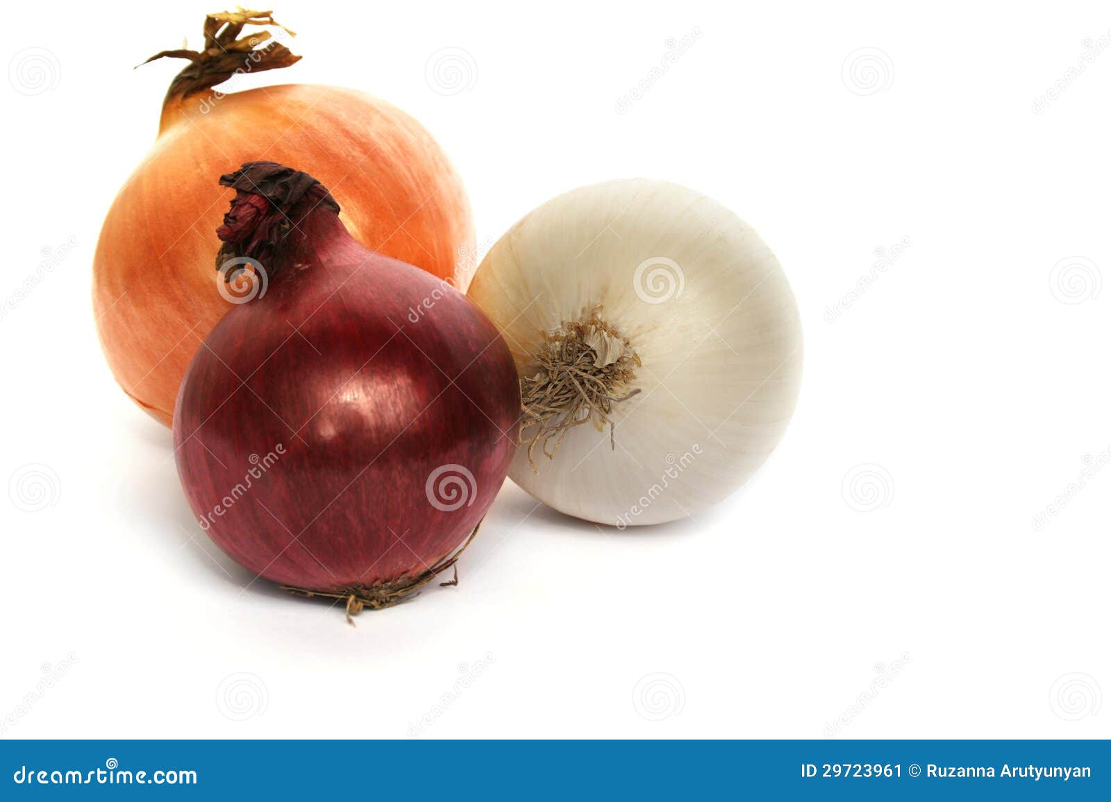 Cebolas coloridas imagem de stock. Imagem de conjunto - 29723961