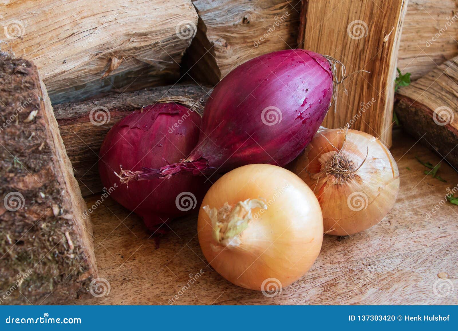 Cebolas Cruas E Deliciosas Em Uma Placa De Corte Foto de Stock - Imagem ...