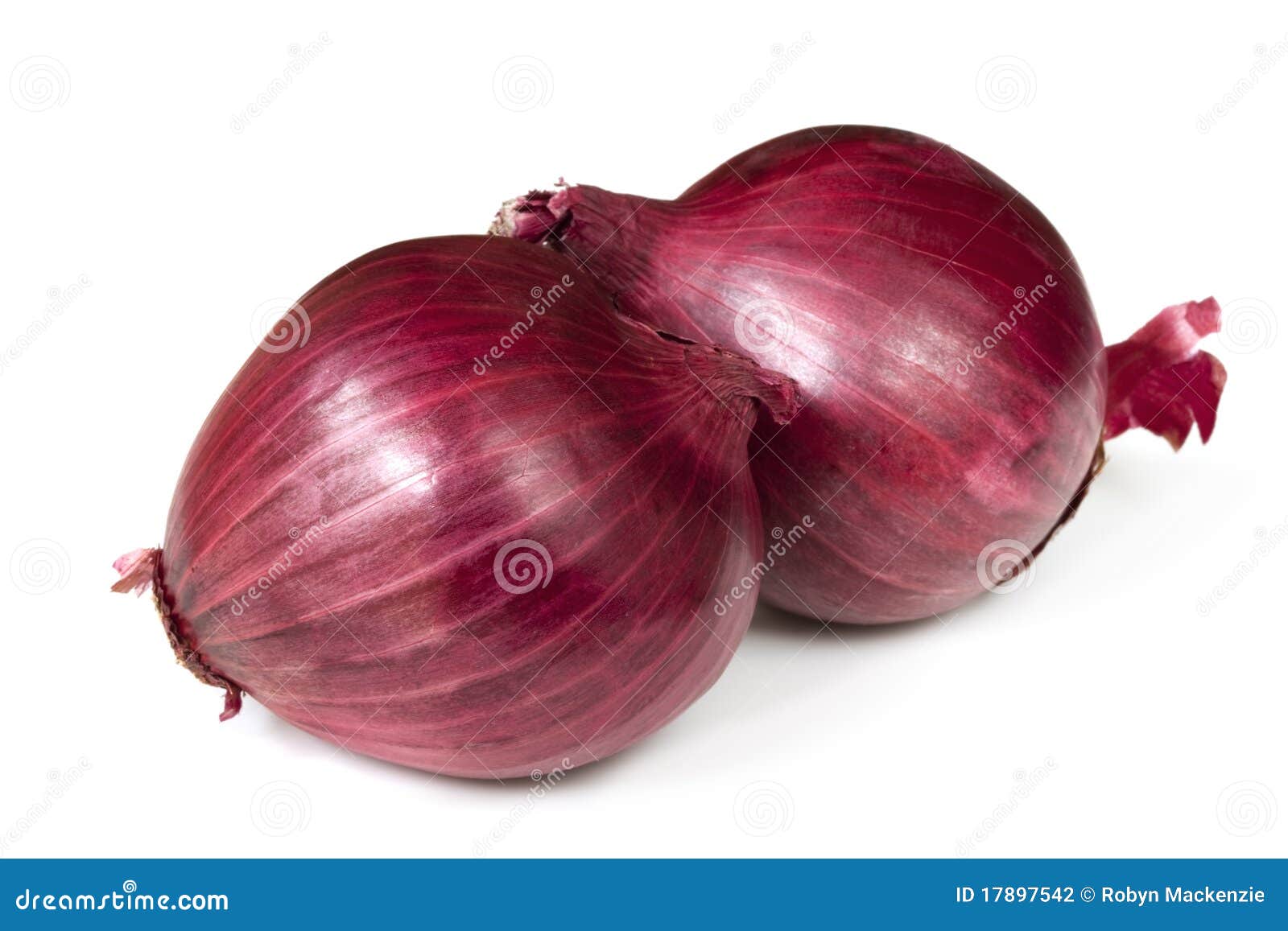 Cebolas vermelhas foto de stock. Imagem de alimento, imagem - 17897542