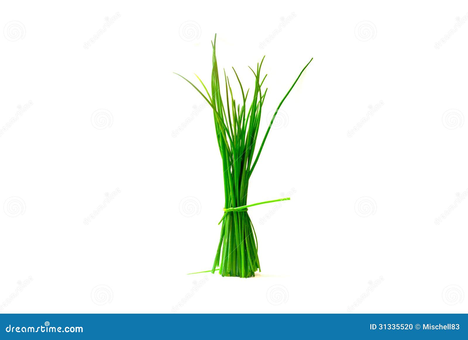 Cebolinha verde foto de stock. Imagem de orgânico, ingrediente - 31335520