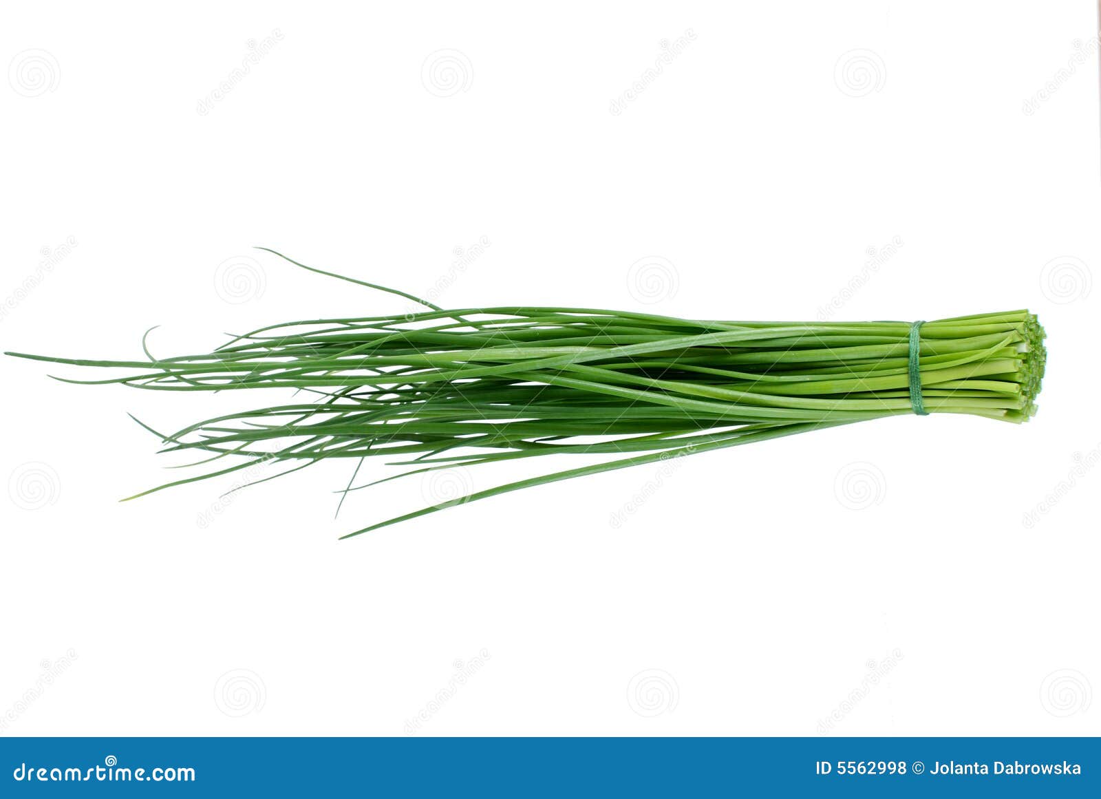 Cebolinho foto de stock. Imagem de vitamina, cebolinho - 5562998