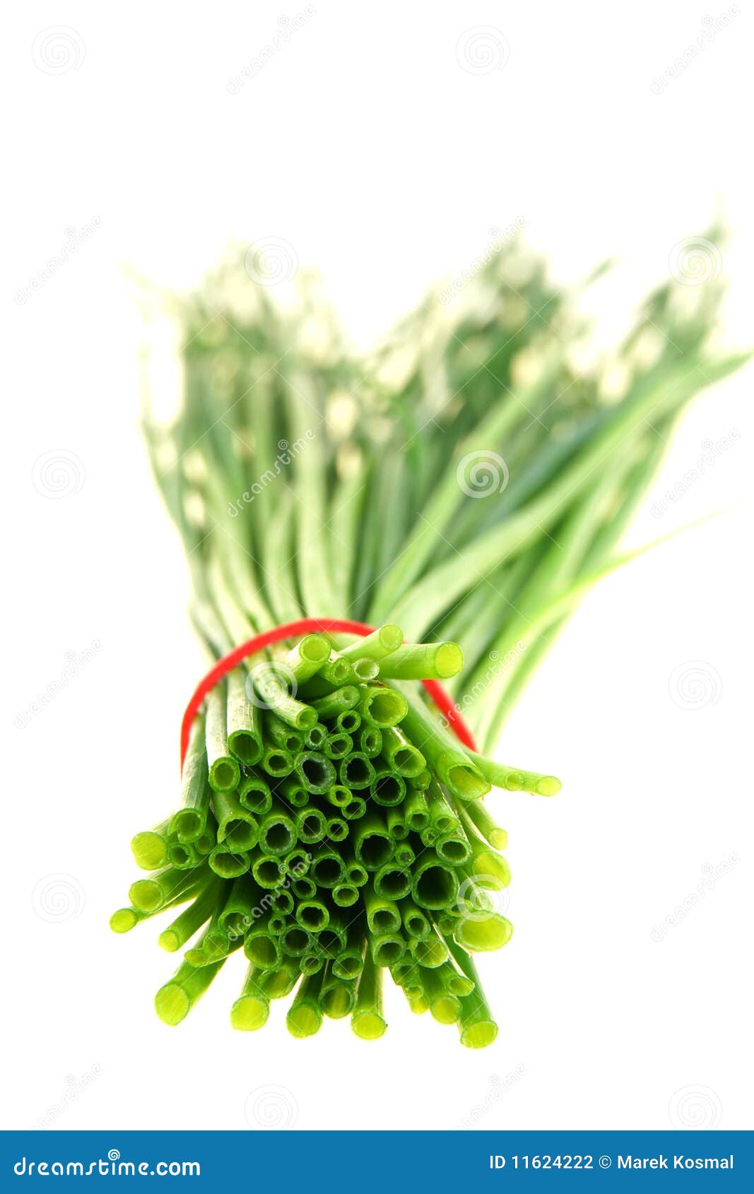 Cebolinho verde fresco foto de stock. Imagem de fresco - 11624222