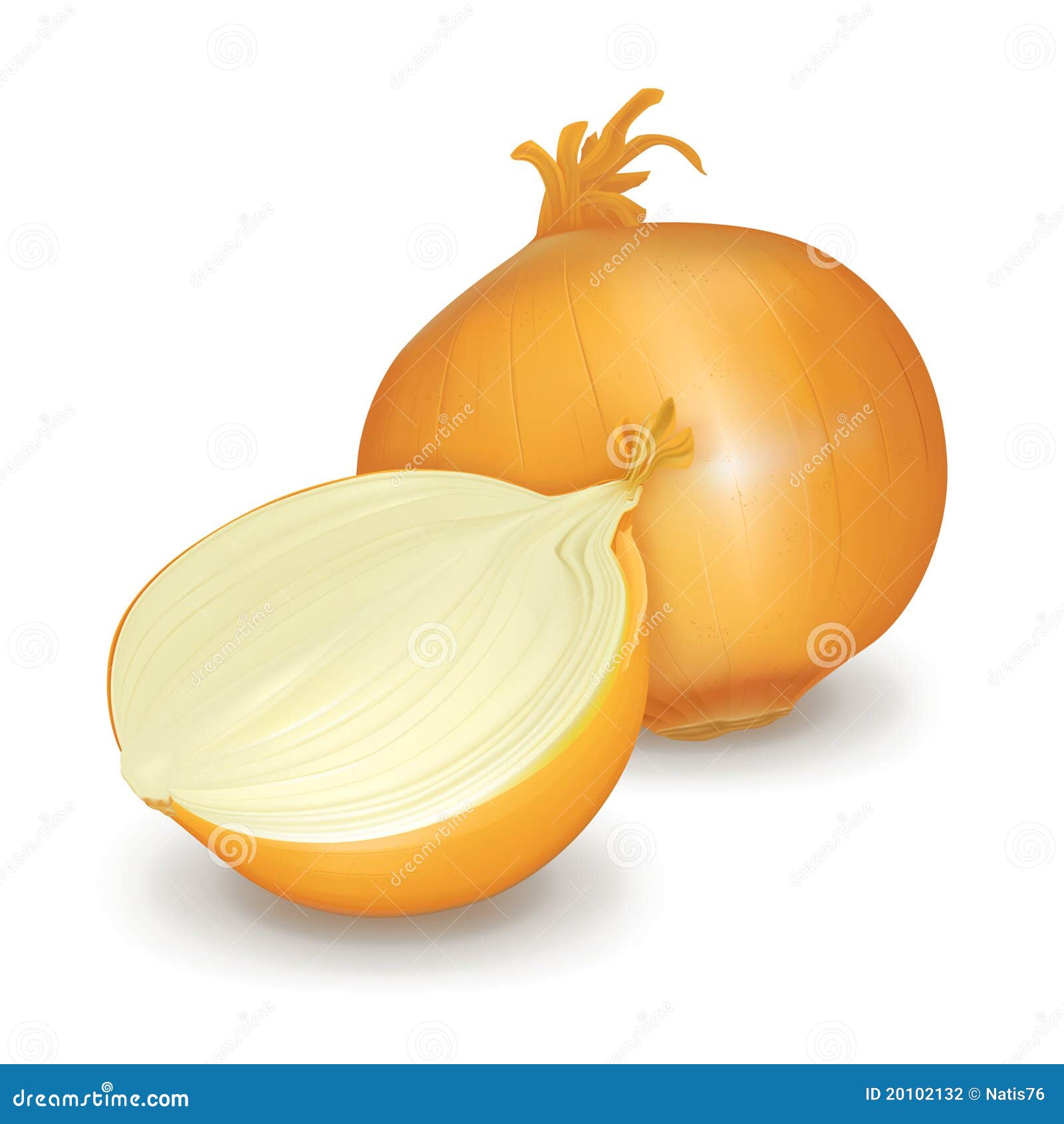 Cebolla Ilustraciones Stock, Vectores, Y Clipart – (131,737 ...