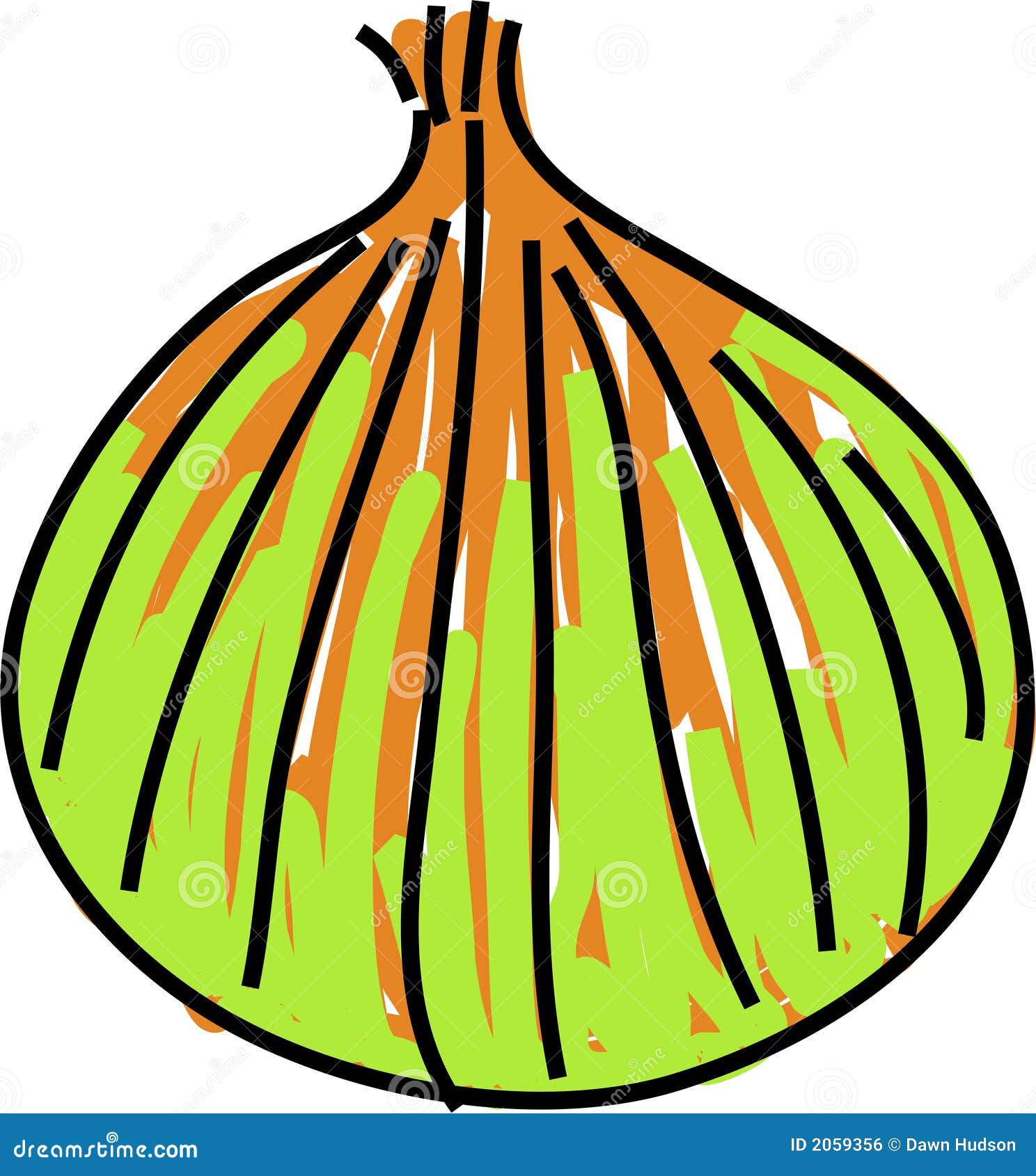 Cebolla ilustración del vector. Ilustración de comestibles - 2059356