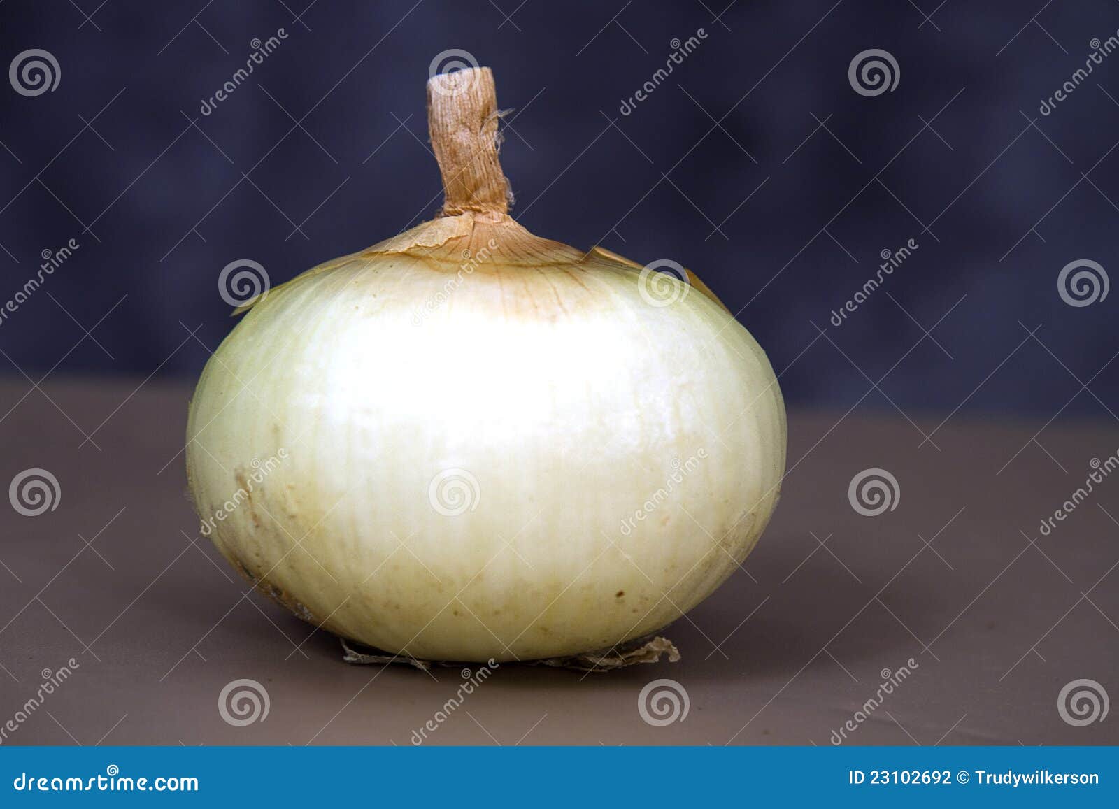 Cebolla blanca grande foto de archivo. Imagen de blanco - 23102692