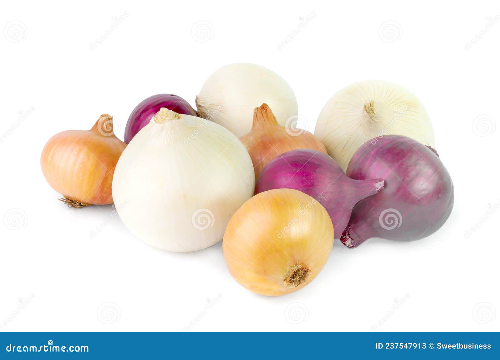 Cebolla colorida imagen de archivo. Imagen de color - 237547913
