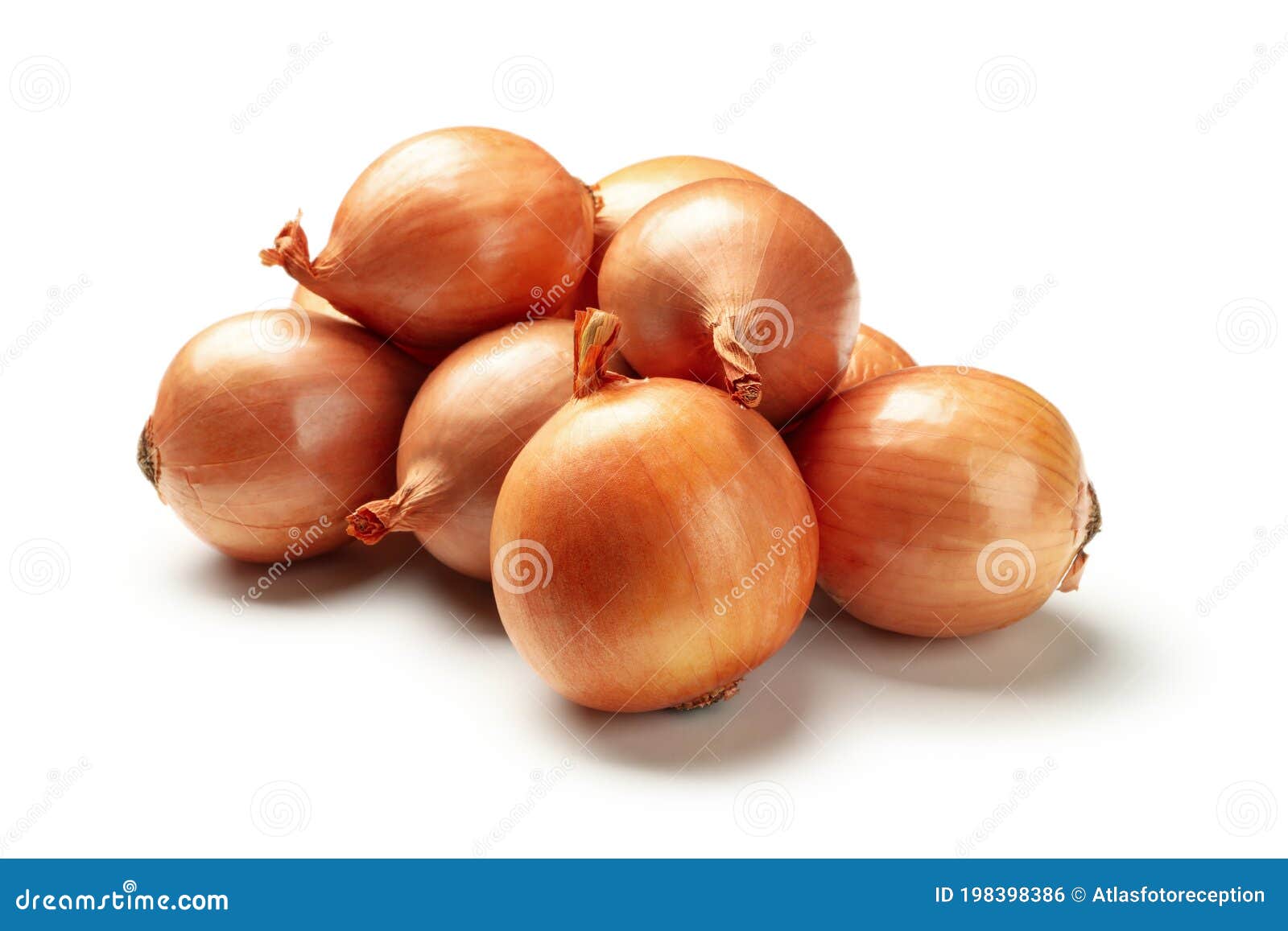 Cebolla Cruda Natural Aislada Sobre Fondo Blanco Foto de archivo ...