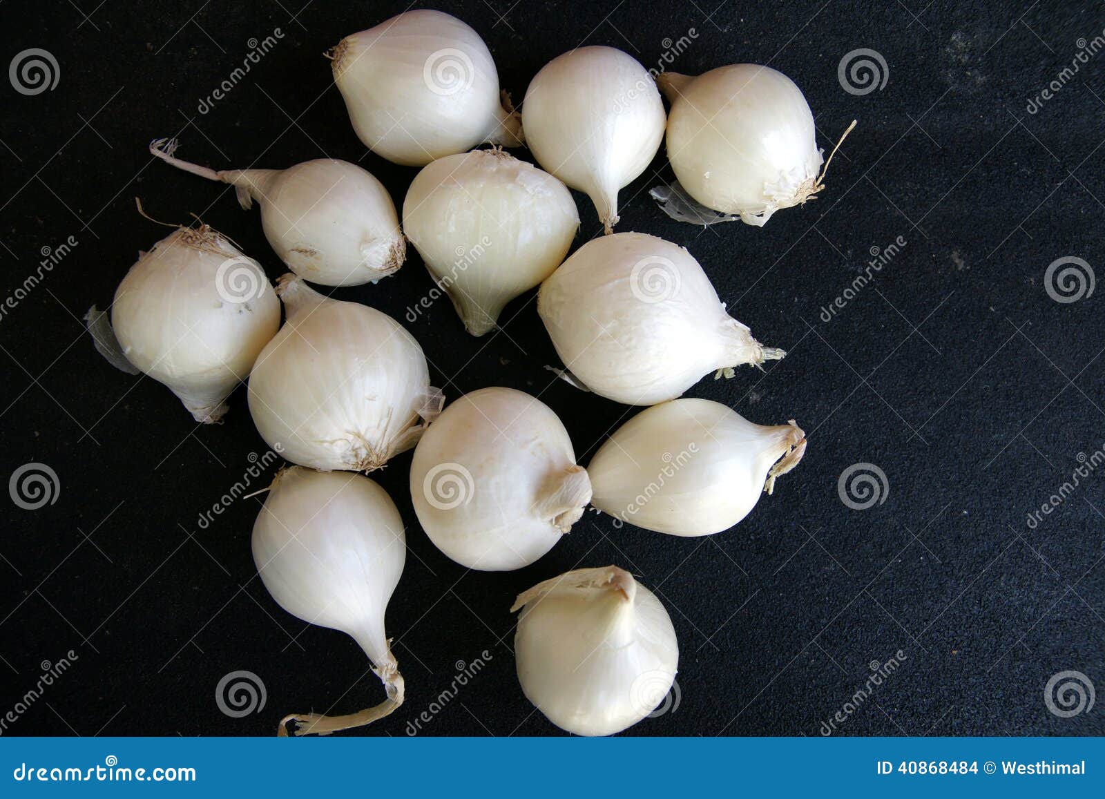 Cebolla De Perla Blanca, Cepa Del Allium Foto de archivo - Imagen de ...