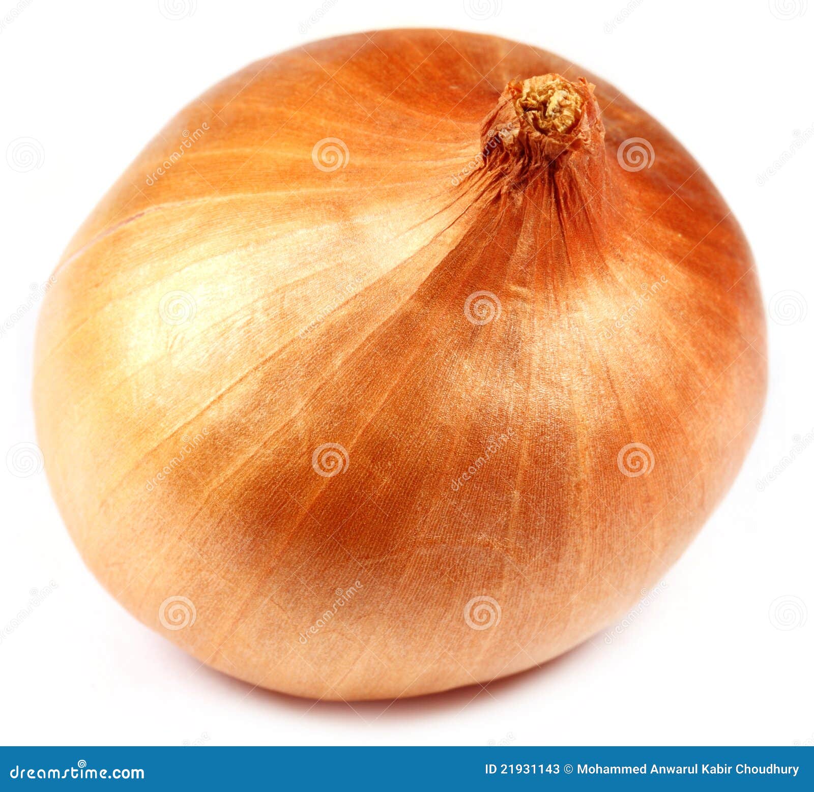 Cebolla fresca imagen de archivo. Imagen de maduro, alimento - 21931143