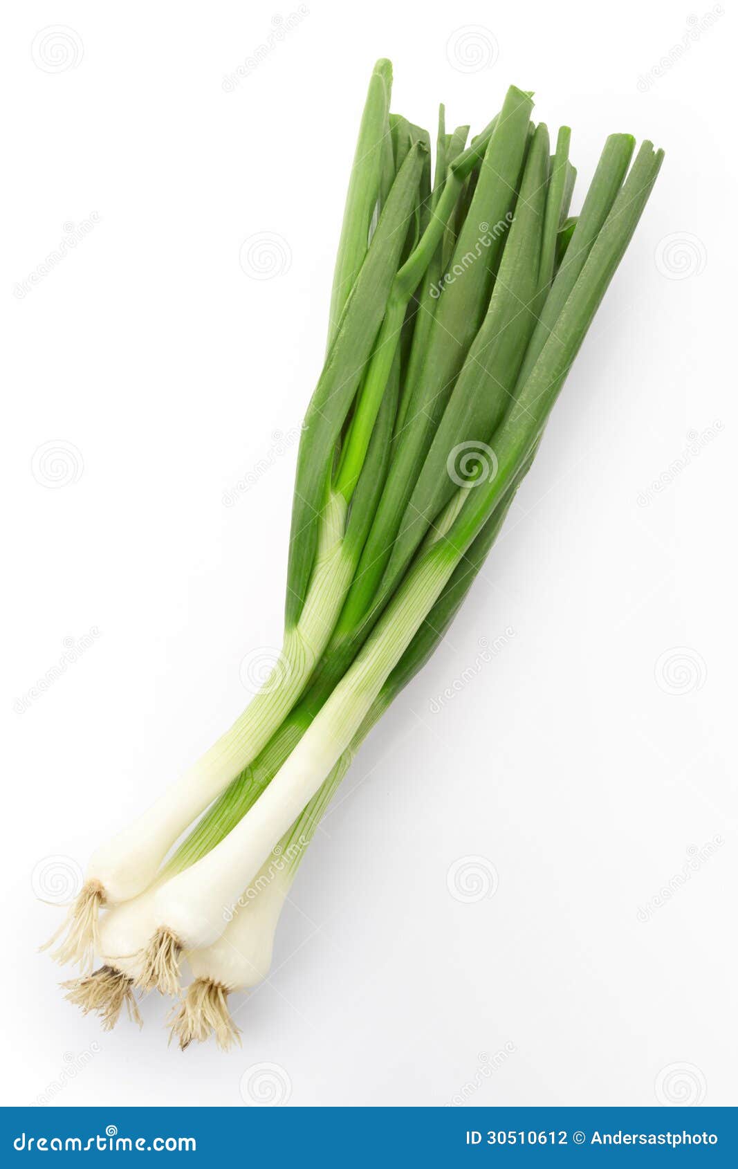 Cebolla fresca foto de archivo. Imagen de manojo, especia - 30510612