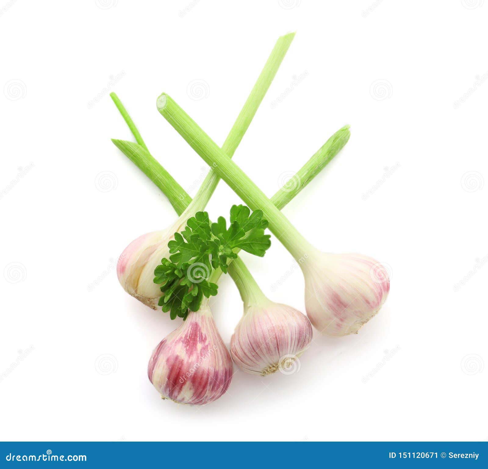 Cebolla Fresca En El Fondo Blanco Imagen de archivo - Imagen de ...