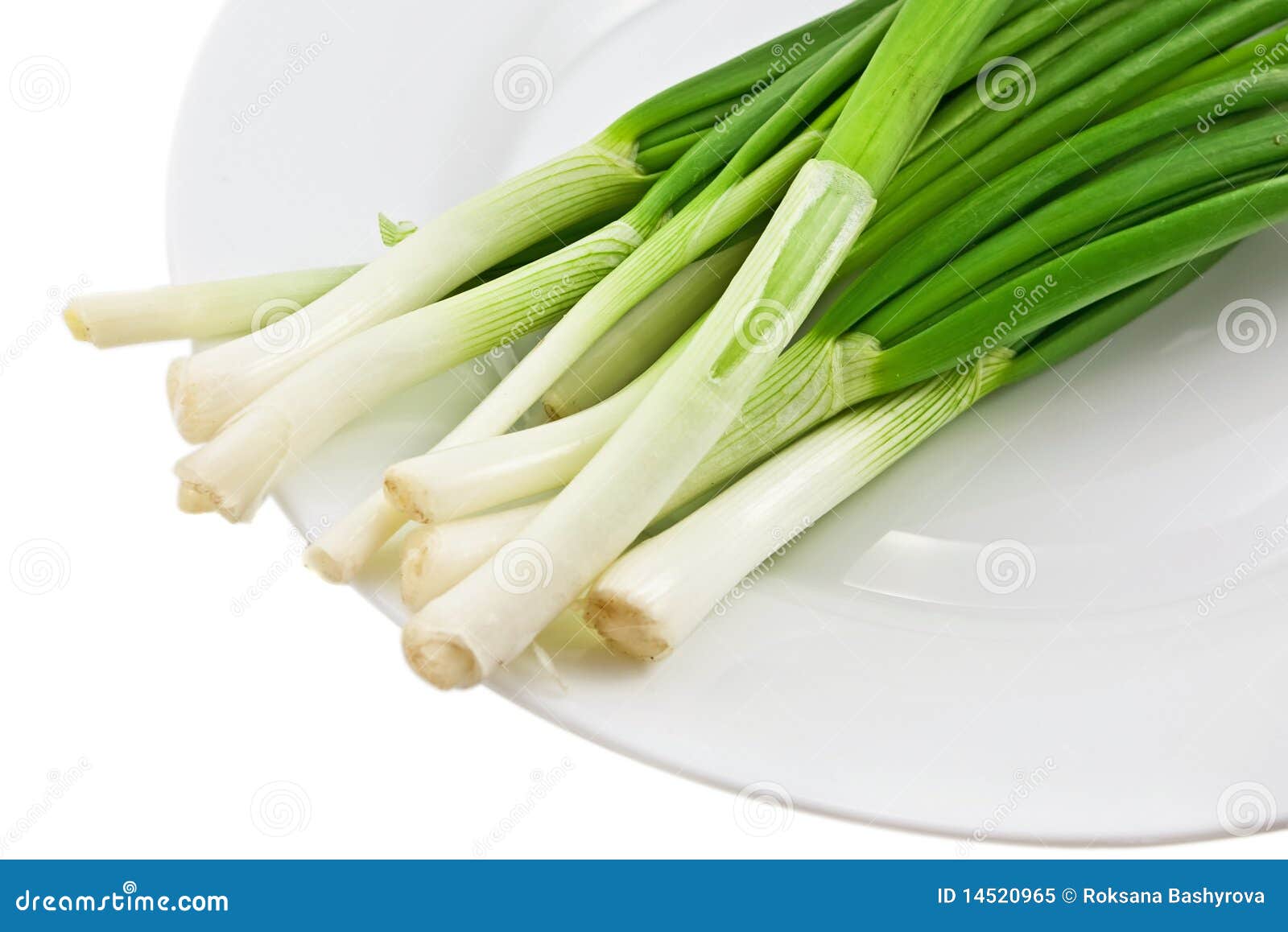Cebolla fresca verde imagen de archivo. Imagen de ensalada - 14520965
