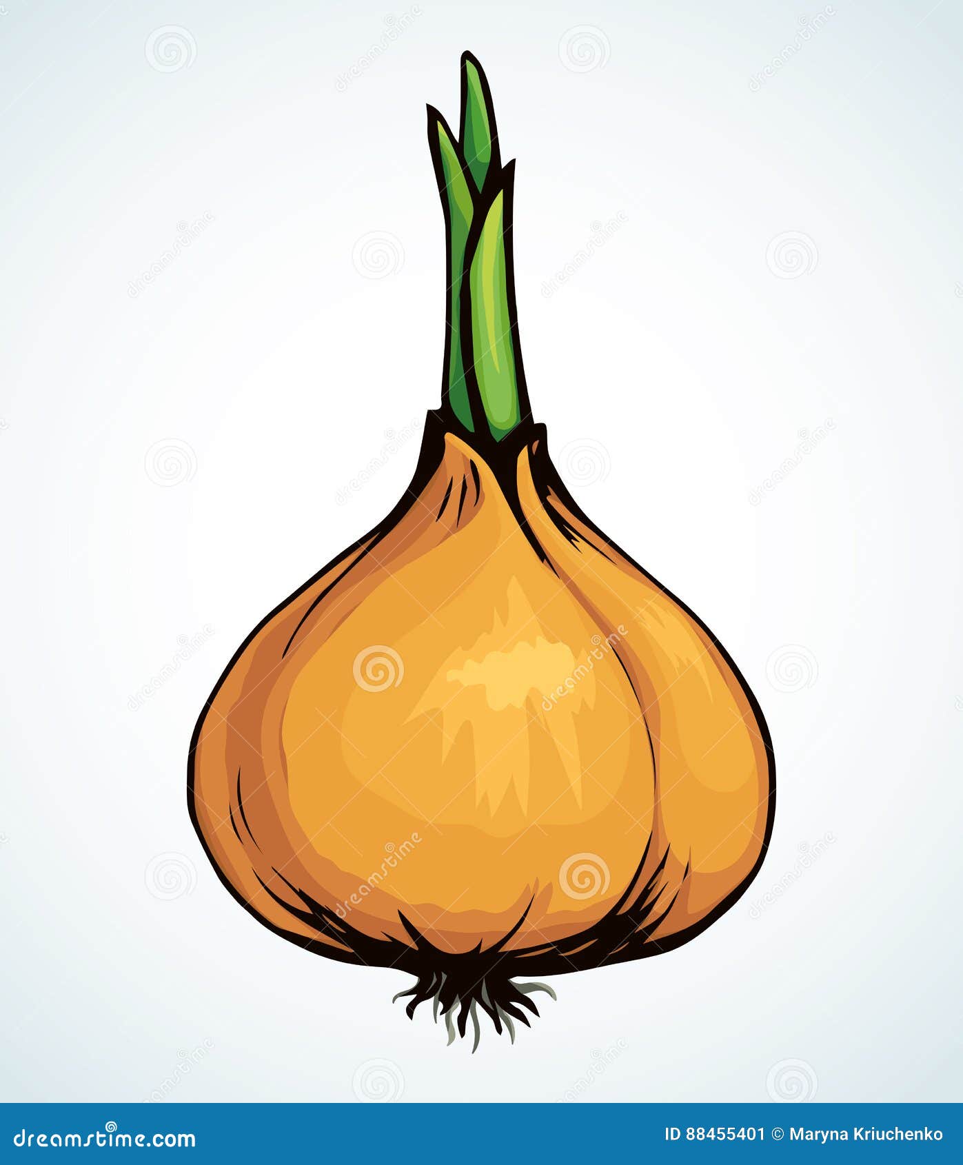 Cebolla Gráfico del vector ilustración del vector. Ilustración de ...