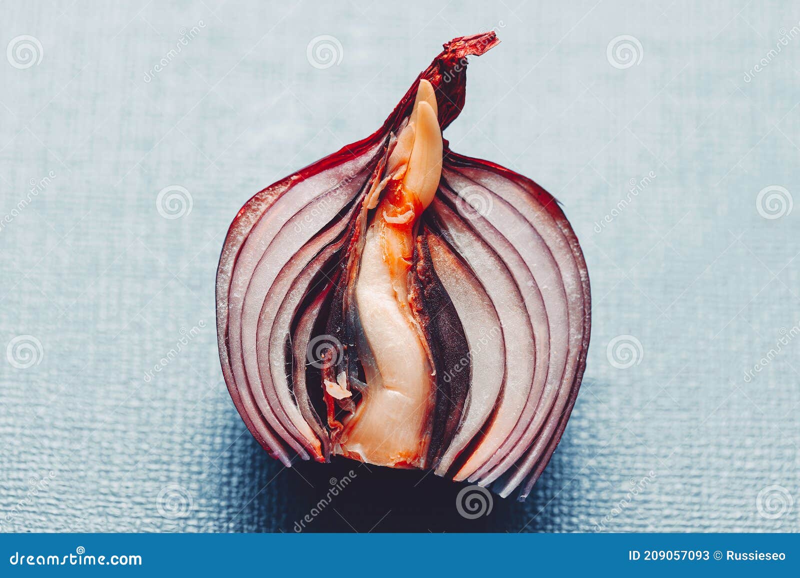 Cebolla podrida dentro imagen de archivo. Imagen de cebolla - 209057093