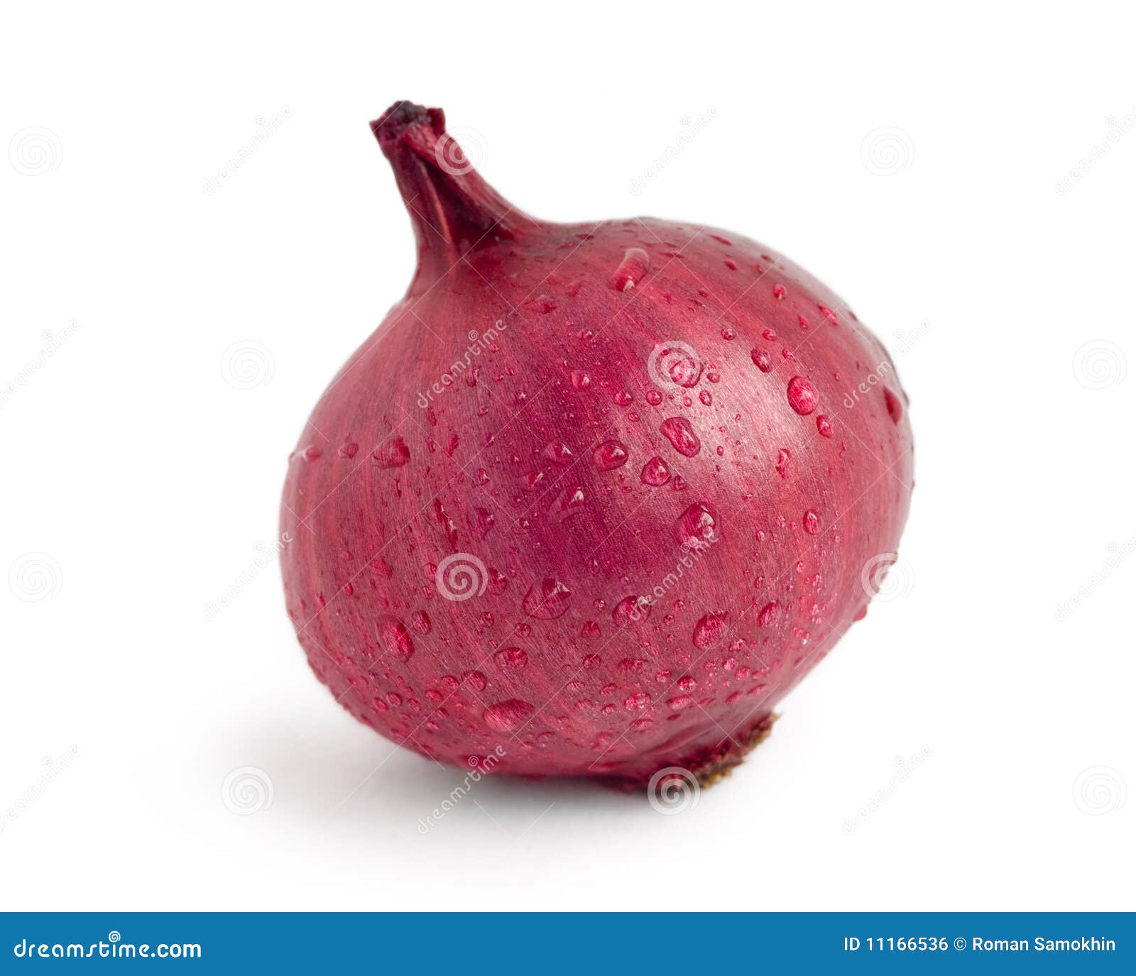 Cebolla roja foto de archivo. Imagen de dieta, rojo, condimento - 11166536