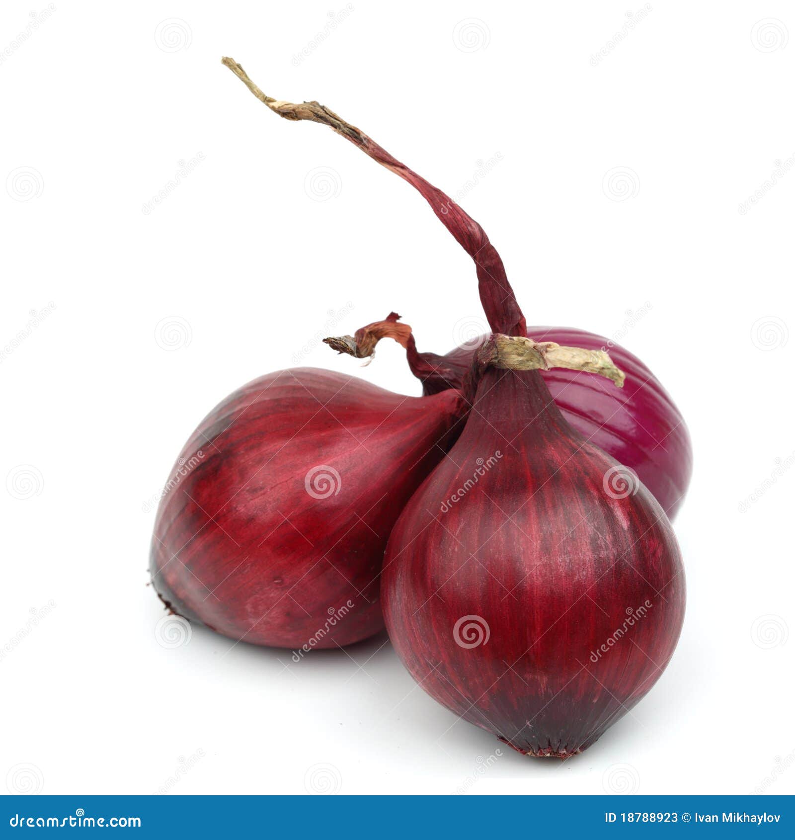 Cebolla roja imagen de archivo. Imagen de rebanada, cebolla - 18788923