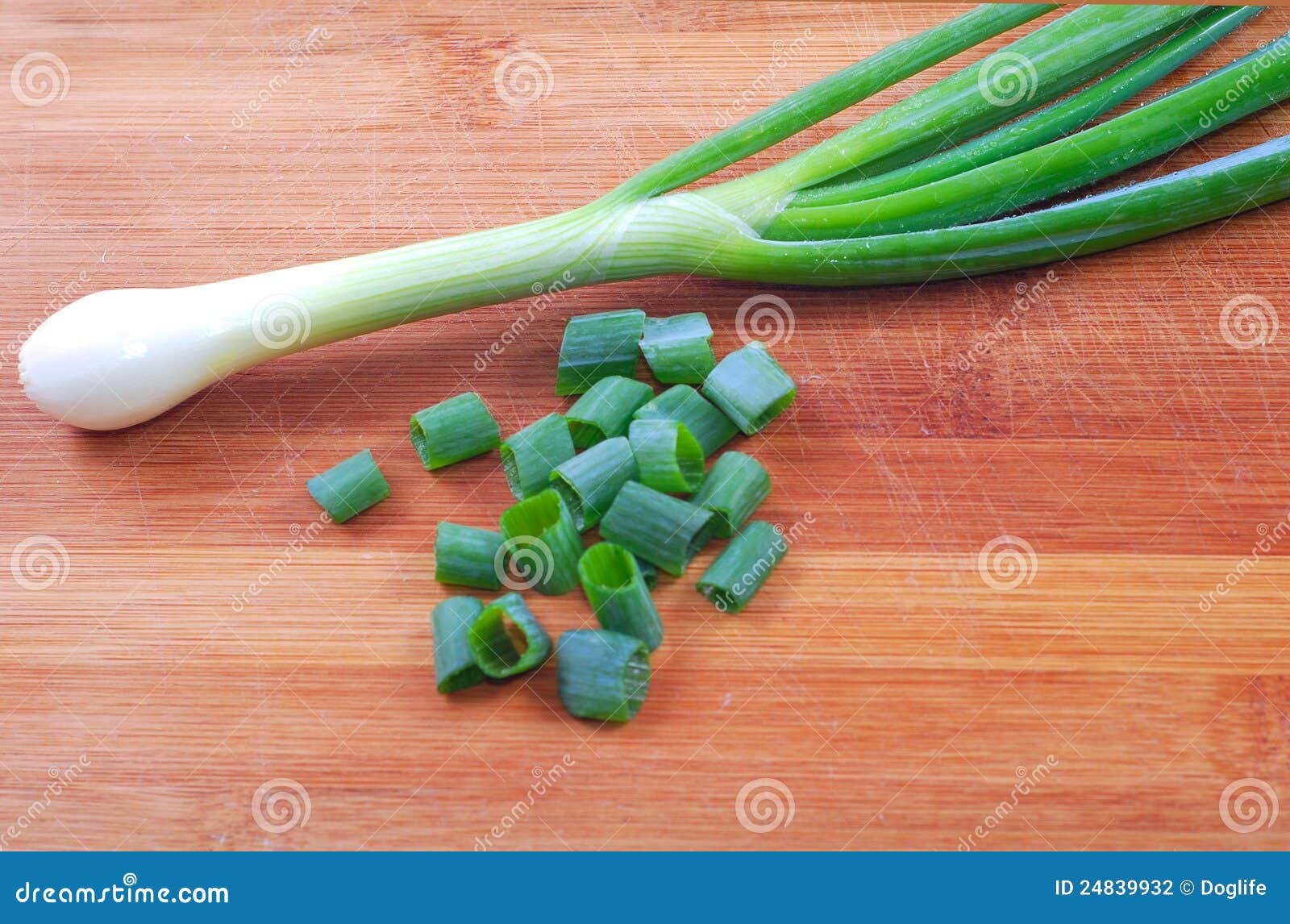 Cebolla verde fresca foto de archivo. Imagen de vegetariano - 24839932