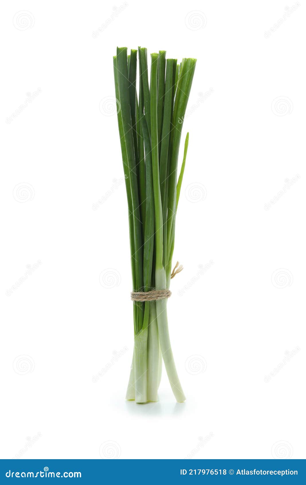 Cebolla Verde Fresca Aislada Sobre Fondo Blanco Foto de archivo ...