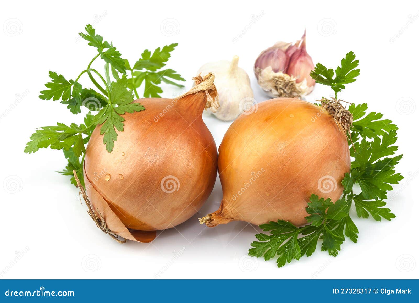 Cebolla y ajo con perejil imagen de archivo. Imagen de travieso - 27328317