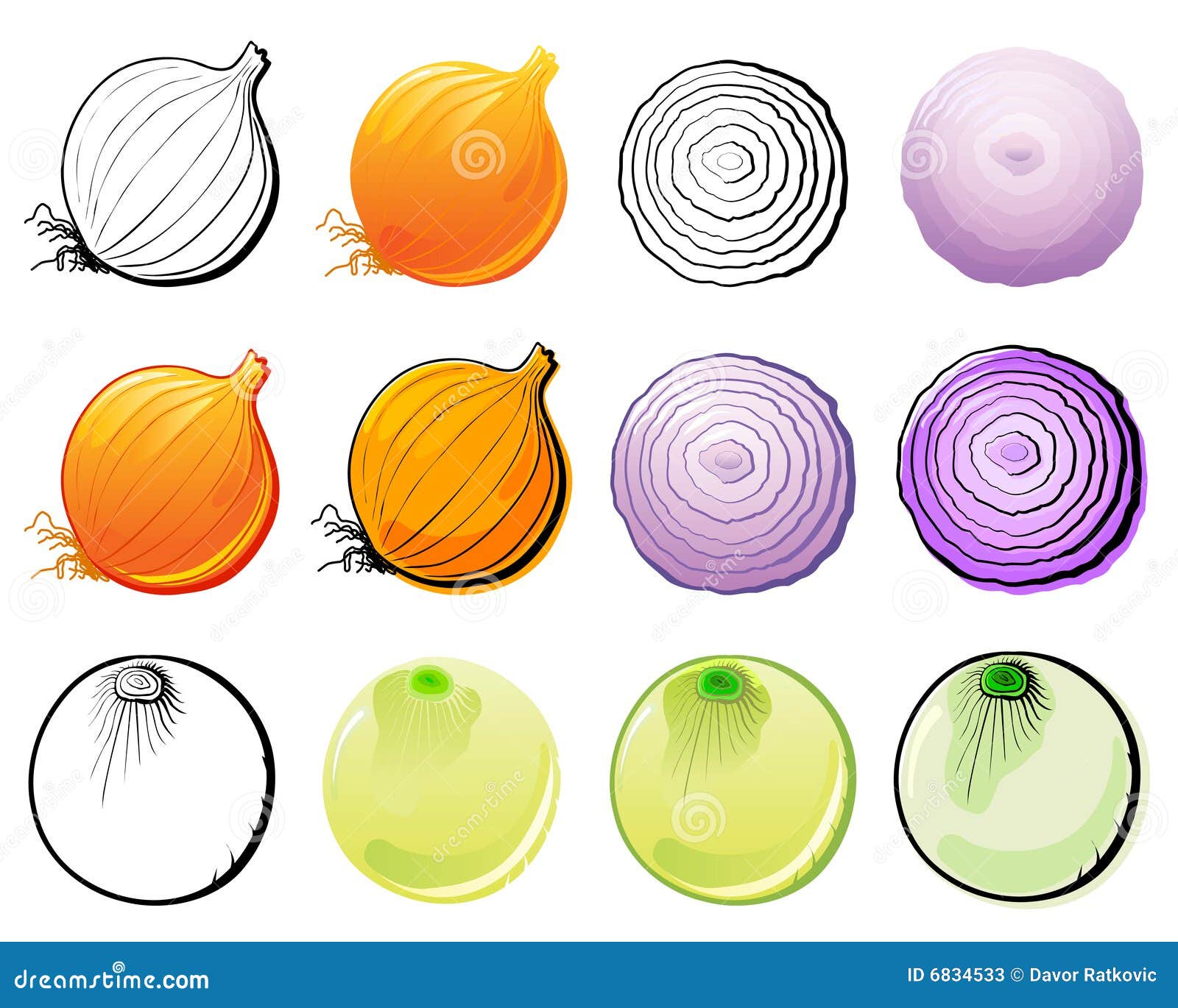 Cebollas ilustración del vector. Ilustración de picante - 6834533