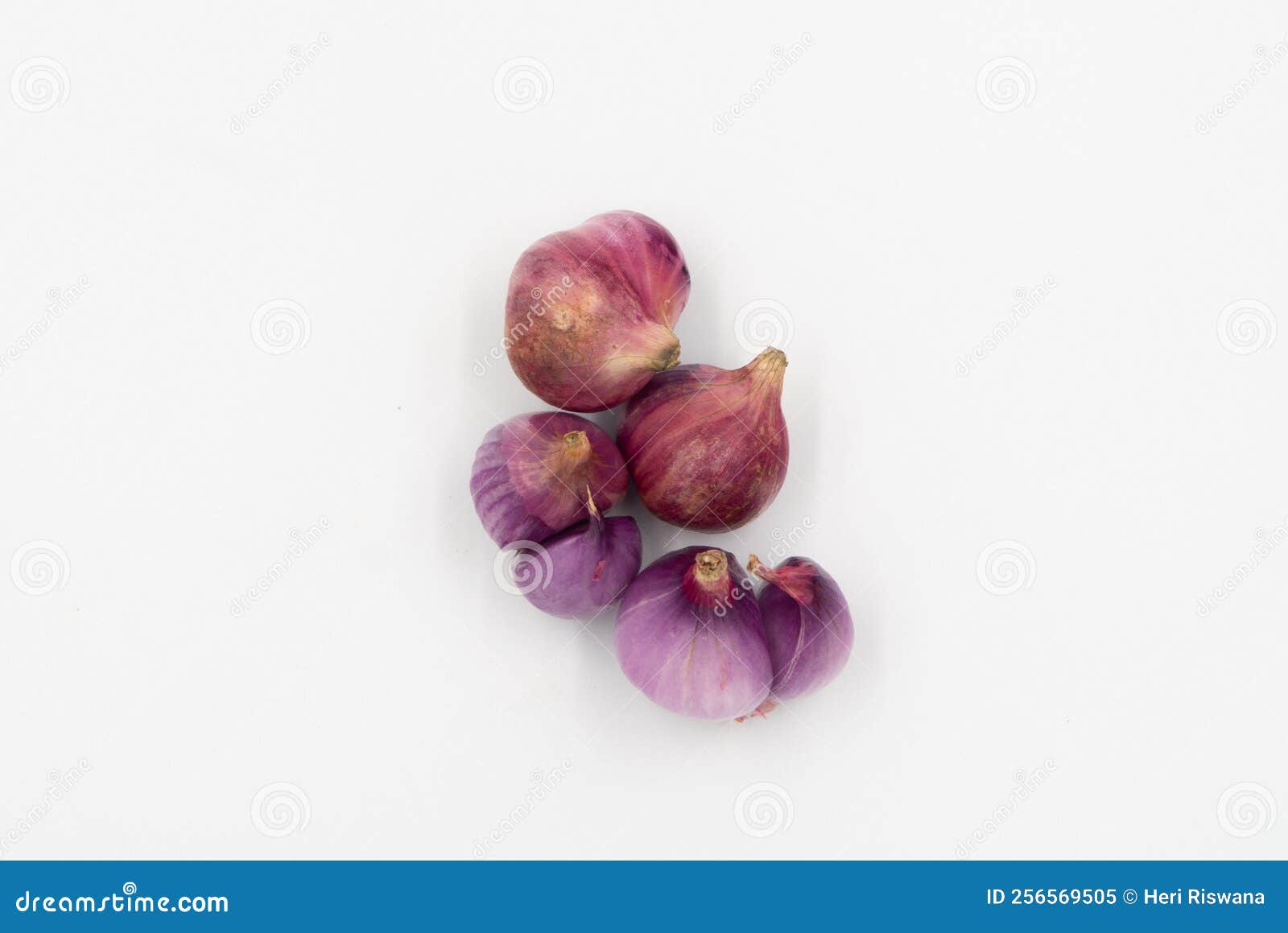 Cebollas Sobre Fondo Blanco Imagen de archivo - Imagen de corte ...