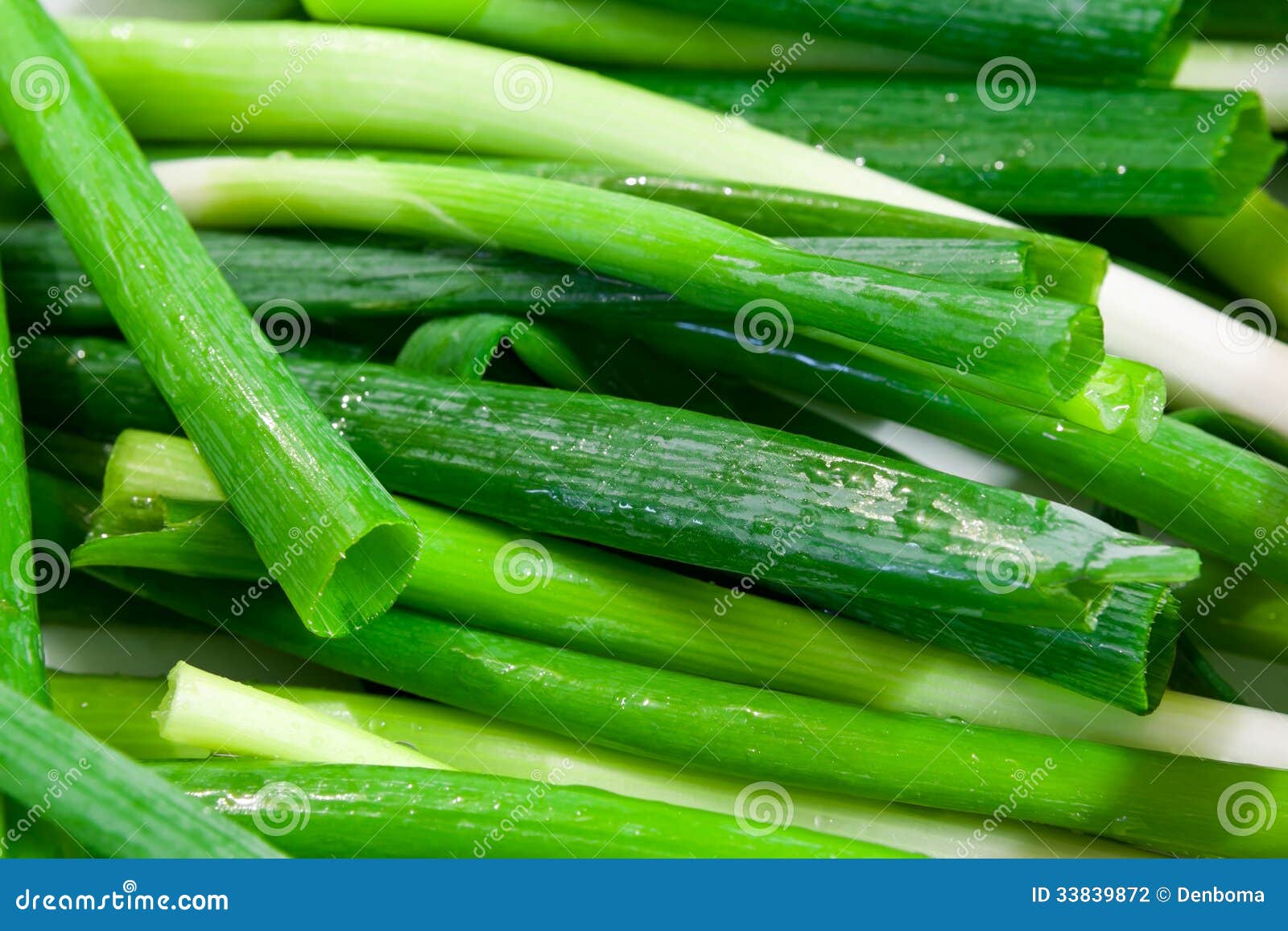 Cebolleta foto de archivo. Imagen de fresco, hierba, dulce - 33839872