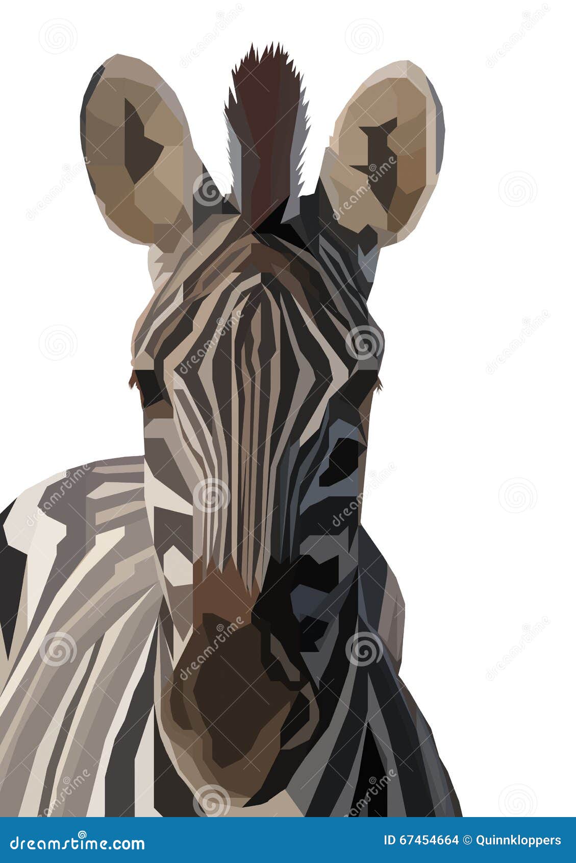 Cebra stock de ilustración. Ilustración de cabo, arte - 67454664