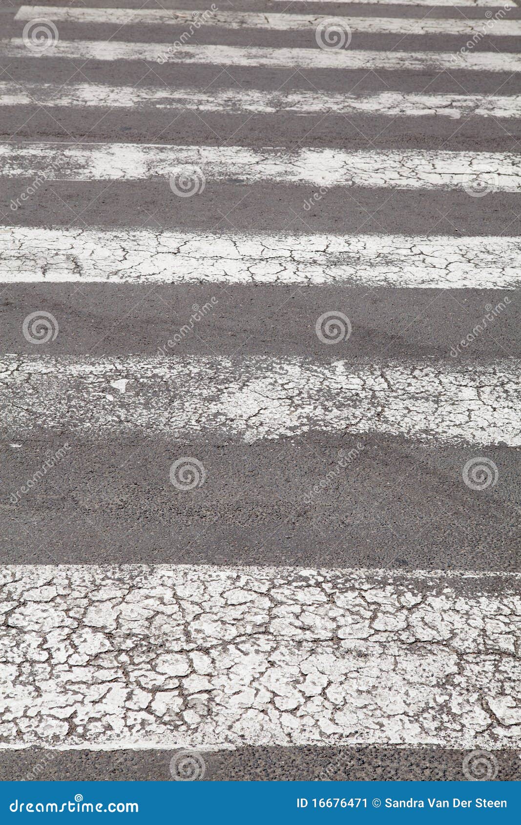 Cebra - camino peatonal imagen de archivo. Imagen de camino - 16676471