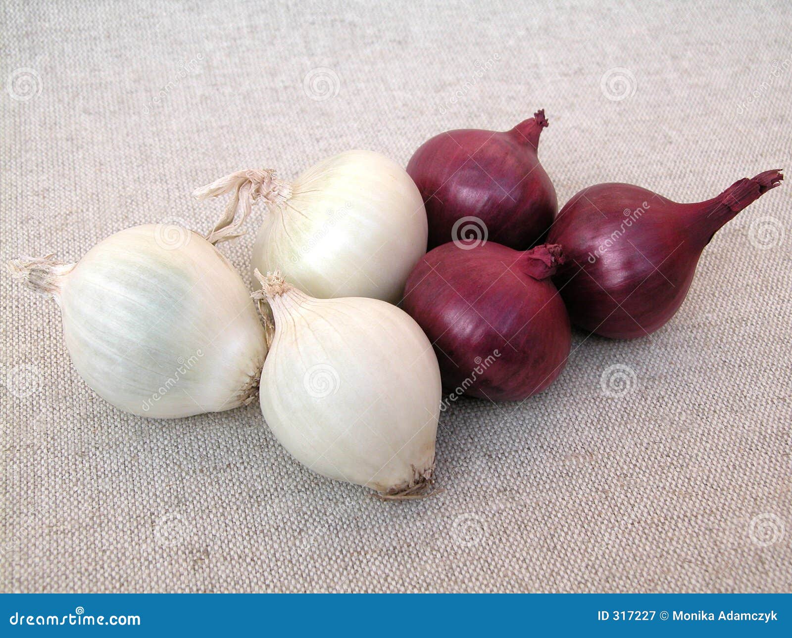 Cebula obraz stock. Obraz złożonej z trzon, korzenny, warzywo - 317227