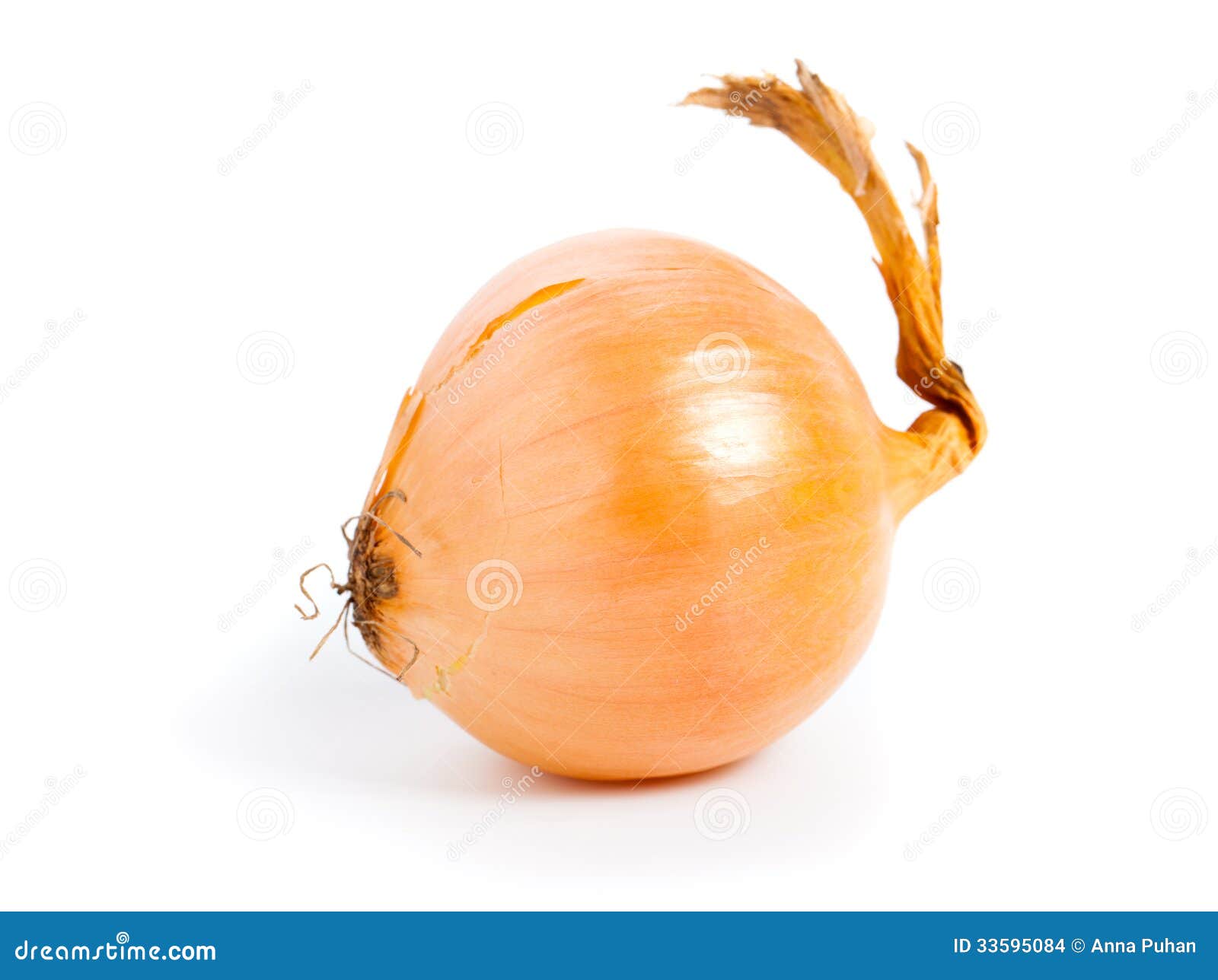 Cebula zdjęcie stock. Obraz złożonej z organicznie, lifestyle - 33595084