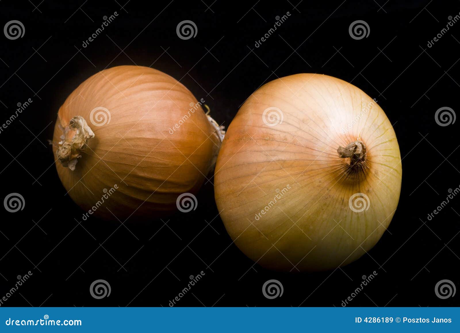 Cebula obraz stock. Obraz złożonej z czerwień, posiłek - 4286189