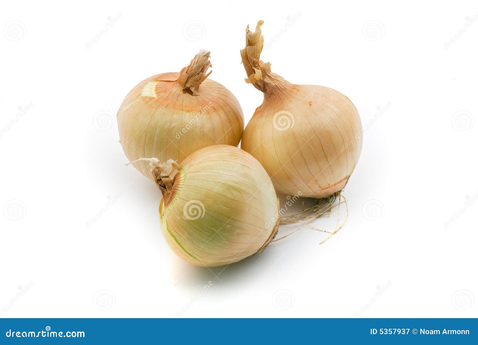 Cebula obraz stock. Obraz złożonej z natura, świeży, kultura - 5357937