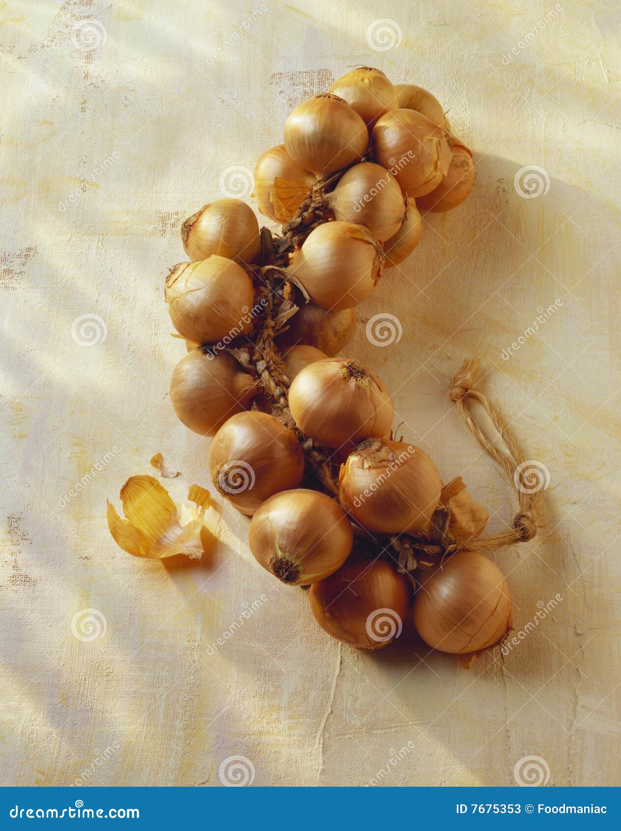 Cebule obraz stock. Obraz złożonej z warzywo, cebule, surowy - 7675353