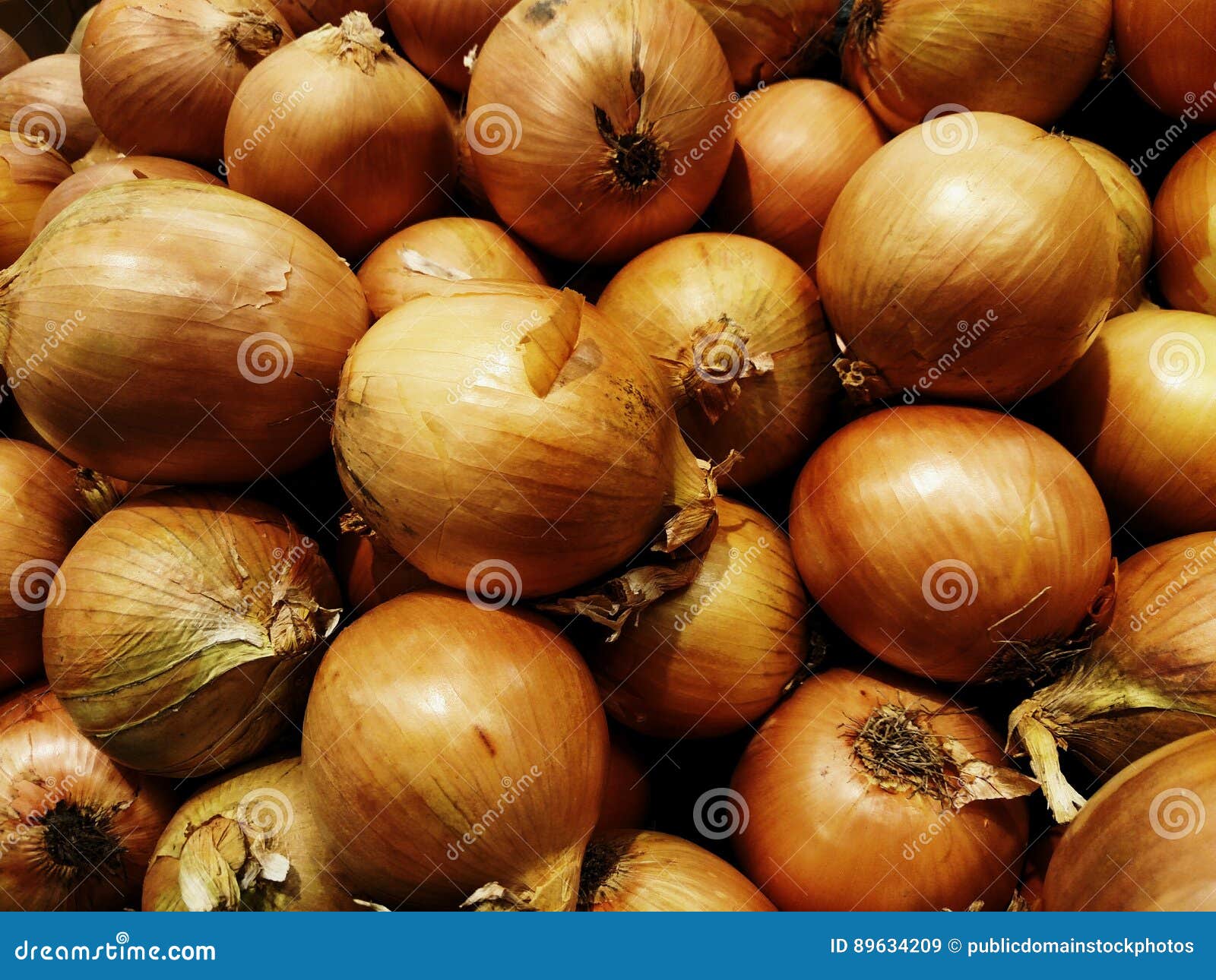 Cebule Obraz. Obraz: 89634209