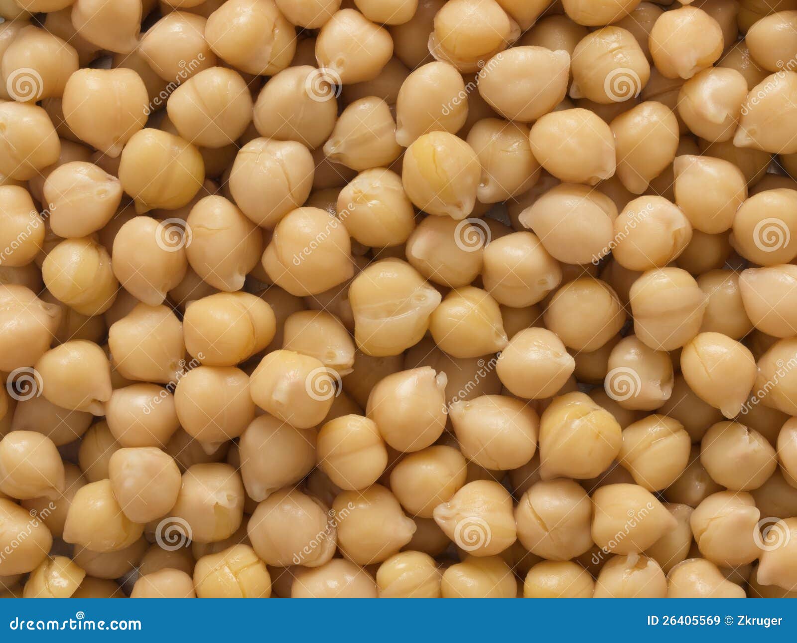 Ceci immagine stock. Immagine di alimento, vegano, indiano - 26405569